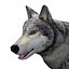 wolf rigged animation x