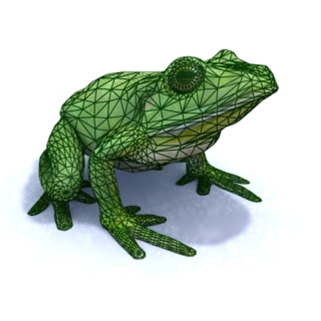 3d Model Tree Frog