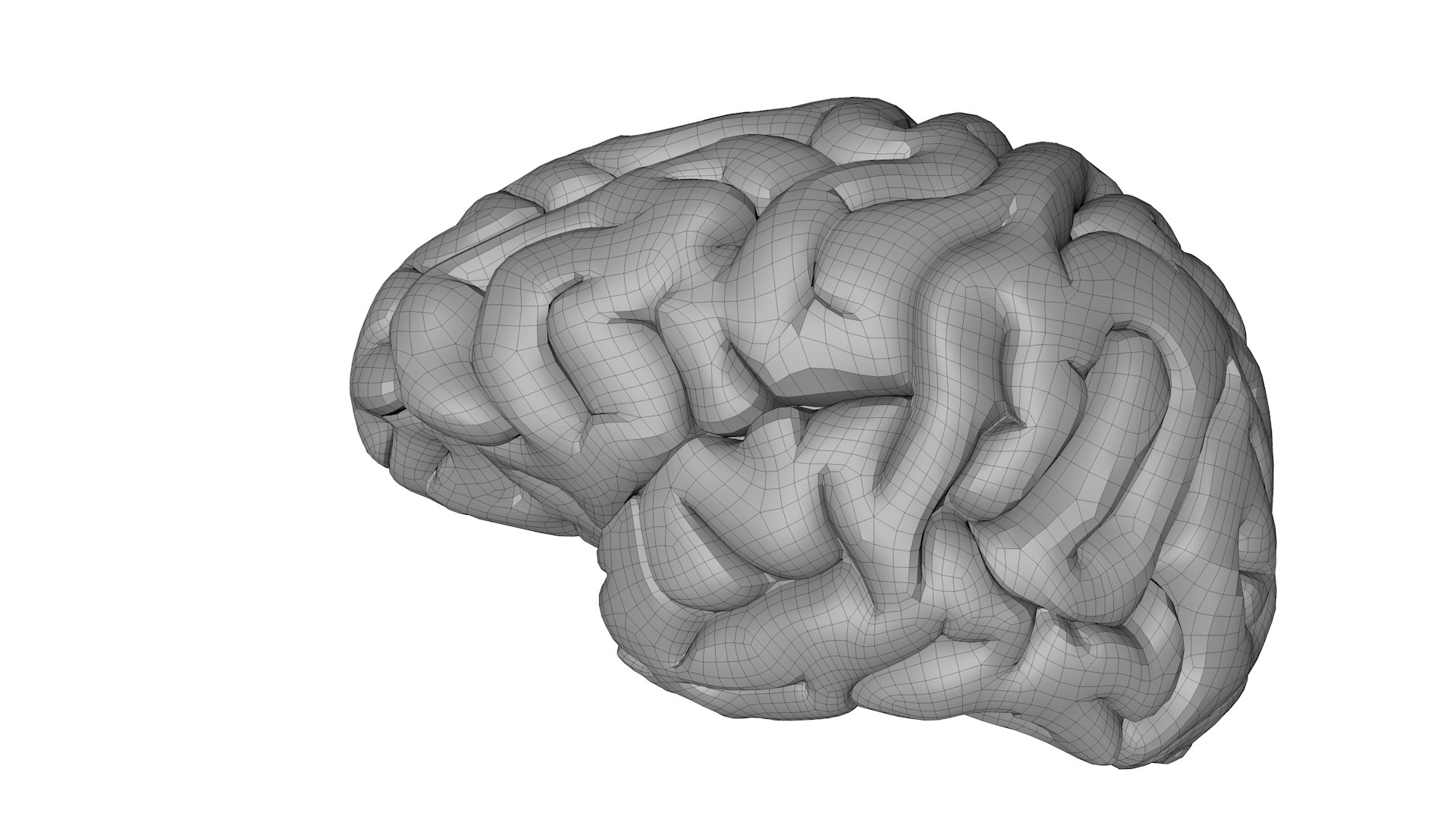 3D Gory Human Brain Damaged - TurboSquid 2068081