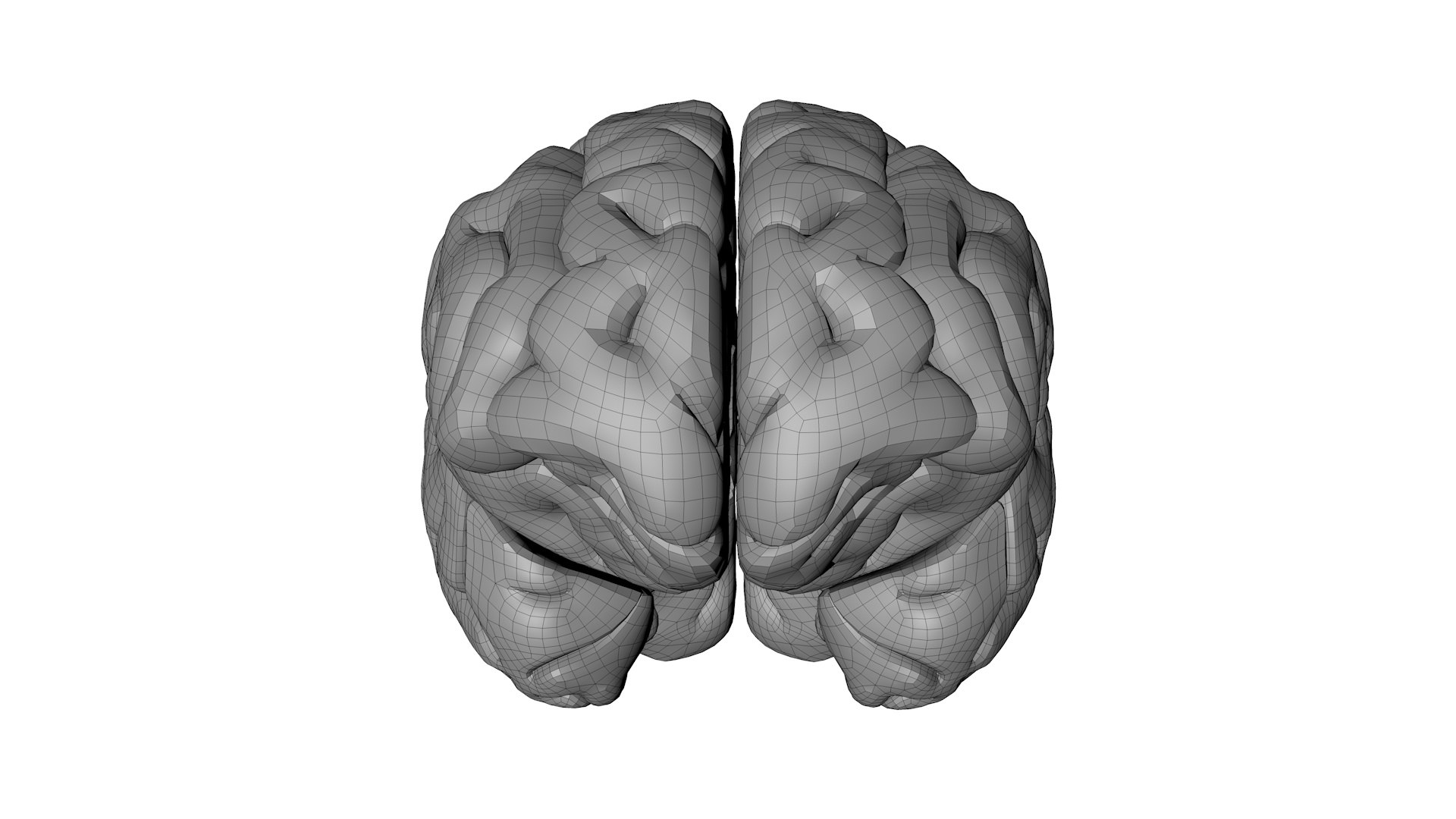 3D Gory Human Brain Damaged - TurboSquid 2068081