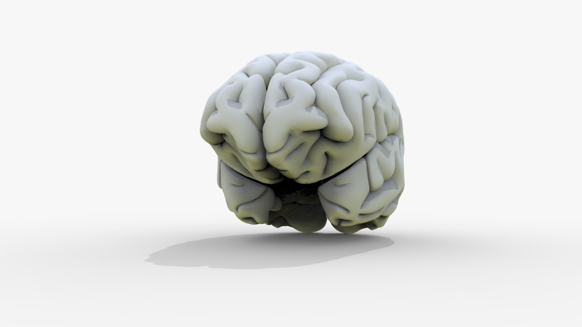 3D Gory Human Brain Damaged - TurboSquid 2068081