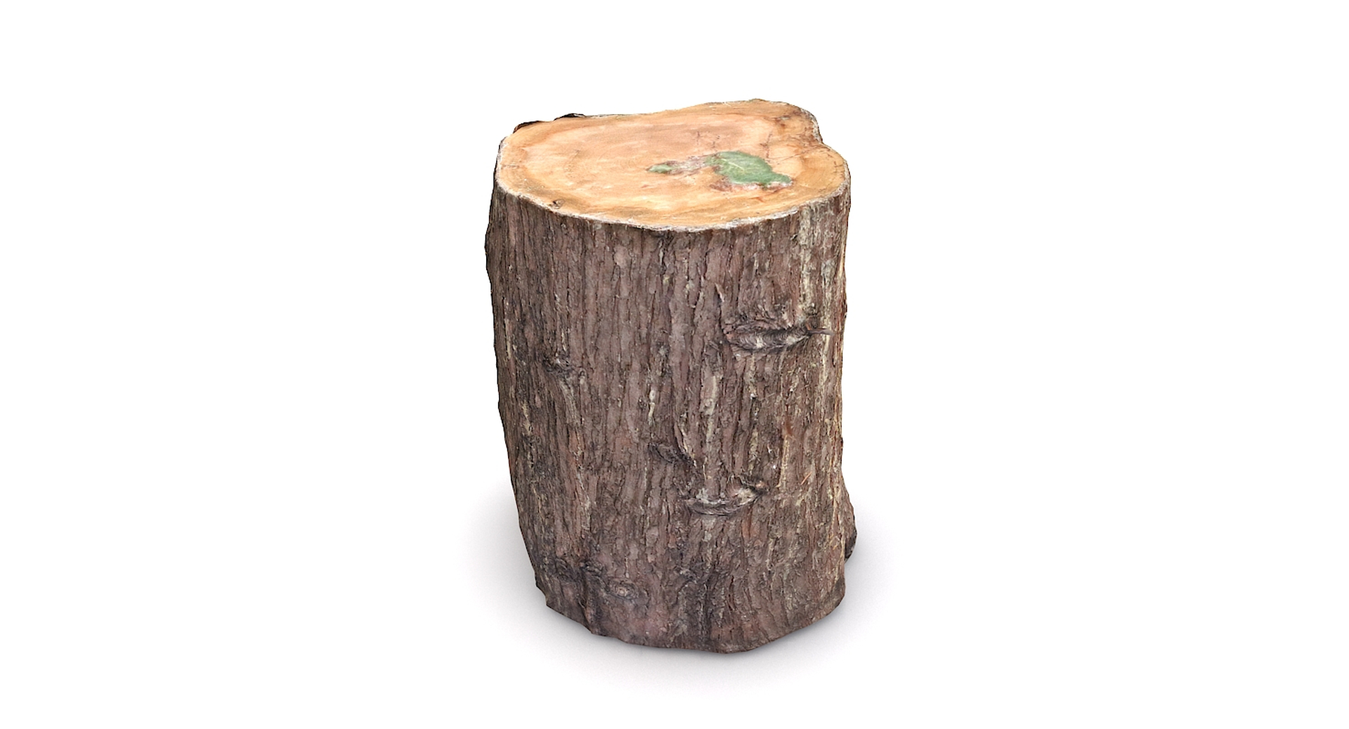 3D Old Tree Trunk Seat Model - TurboSquid 1351375