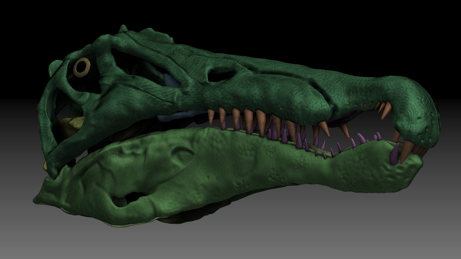 Spinosaurus 2020 version Skull Set Skeletons Sculpt Project 3D model ...