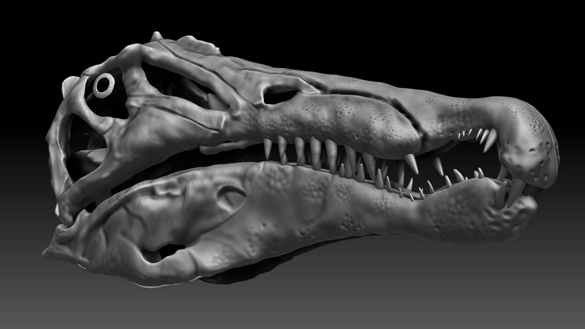 Spinosaurus 2020 version Skull Set Skeletons Sculpt Project 3D model ...