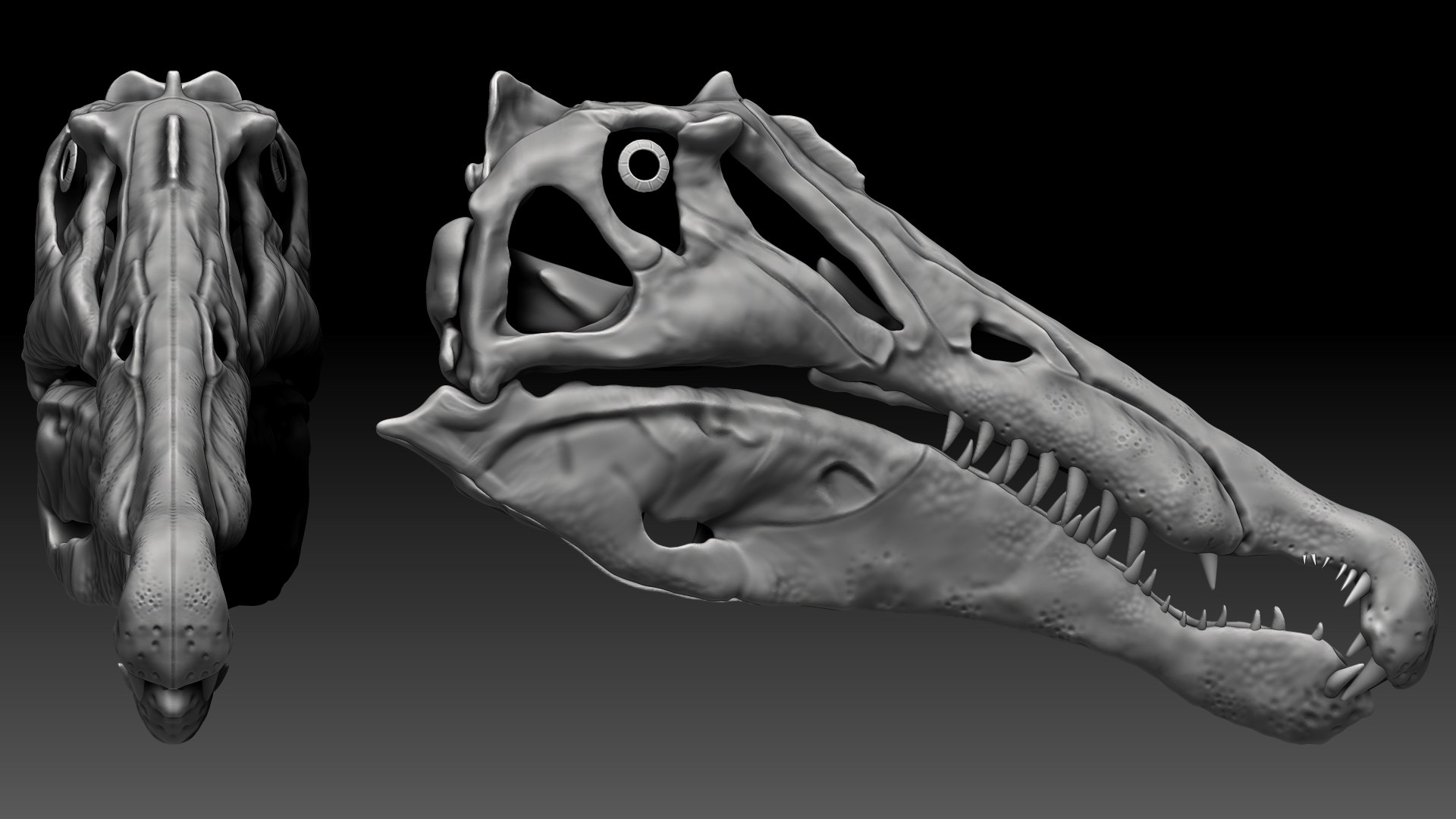 Spinosaurus 2020 version Skull Set Skeletons Sculpt Project 3D model ...