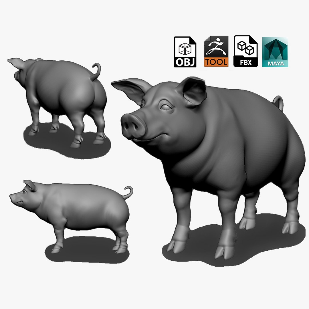 3D Pig - TurboSquid 2071298