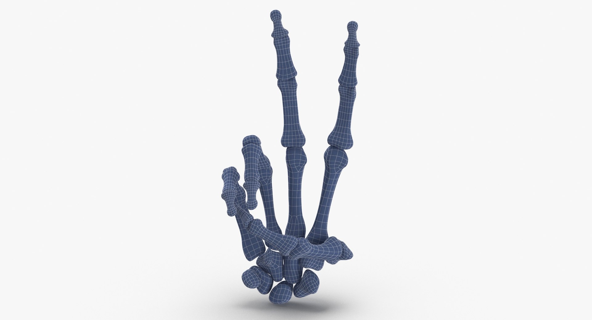 3D Model Human Hand Bones Peace Sign White And Yellow Collection 01 - 2 ...