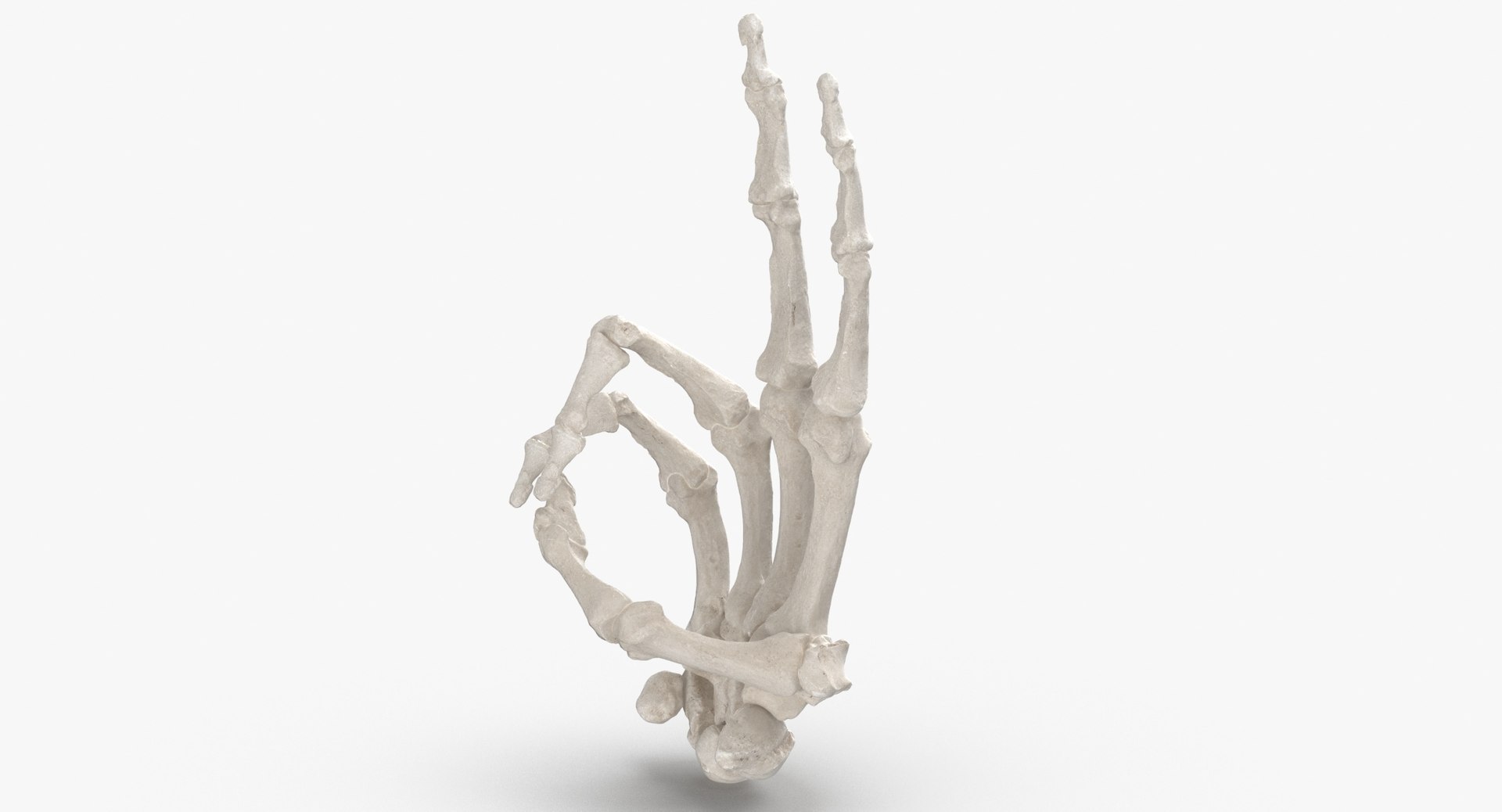 3D Model Human Hand Bones Peace Sign White And Yellow Collection 01 - 2 ...