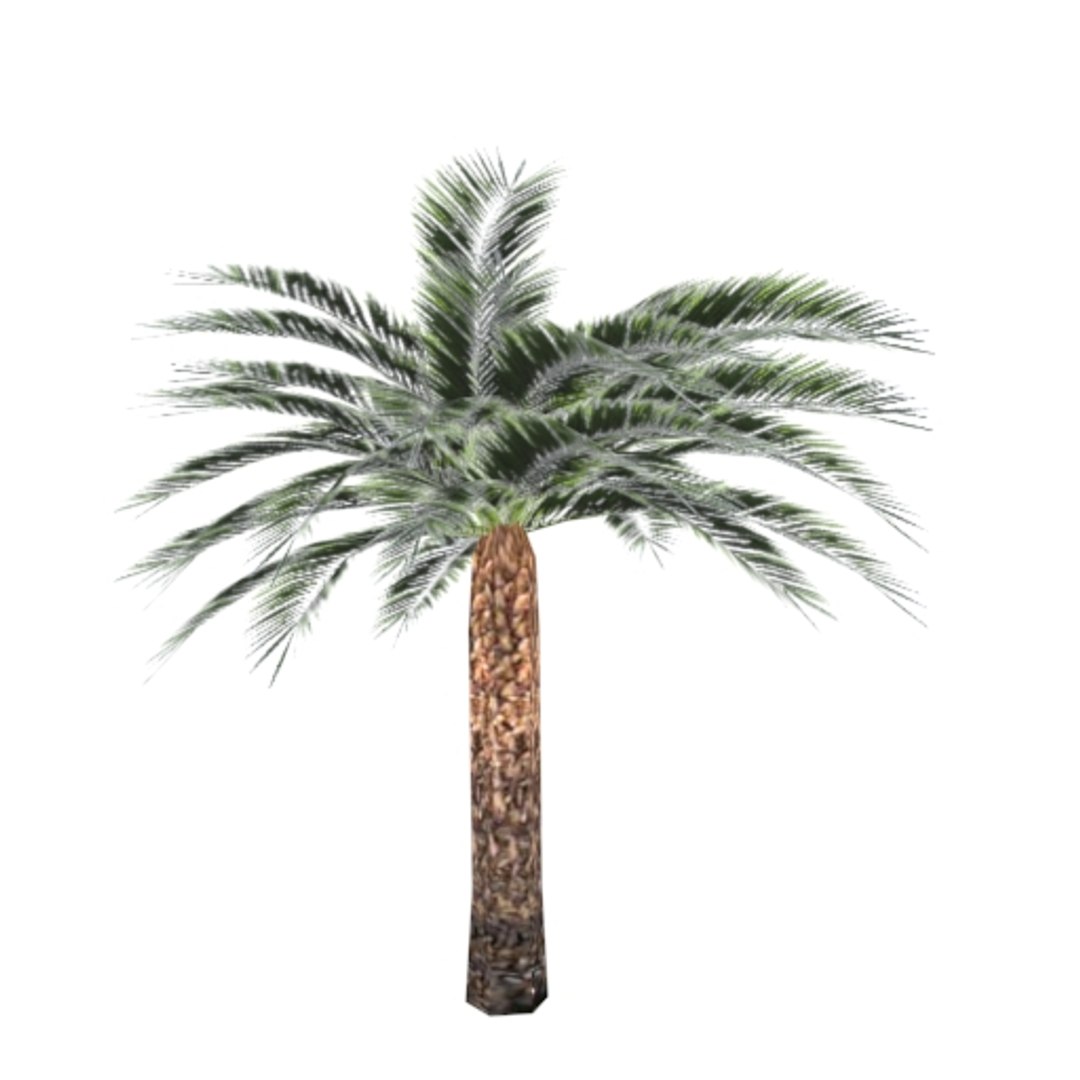 Dates Palm Tree 3D - TurboSquid 1612980