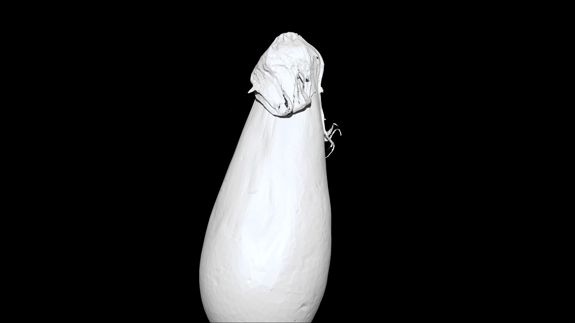 Eggplant 3D CT Scan Model Decimate 1 Percent 3D Model - TurboSquid 1933489