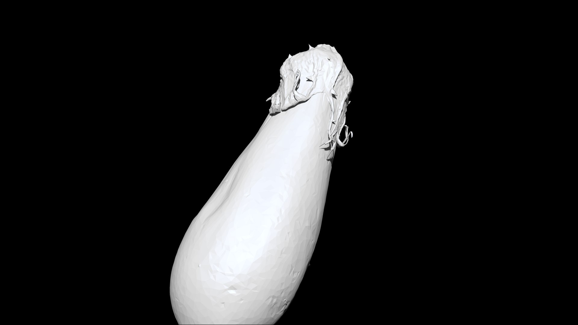 Eggplant 3D CT Scan Model Decimate 1 Percent 3D Model - TurboSquid 1933489
