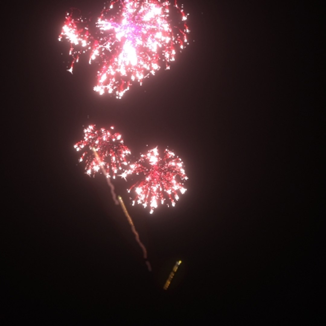 Scene Fireworks 3d Model