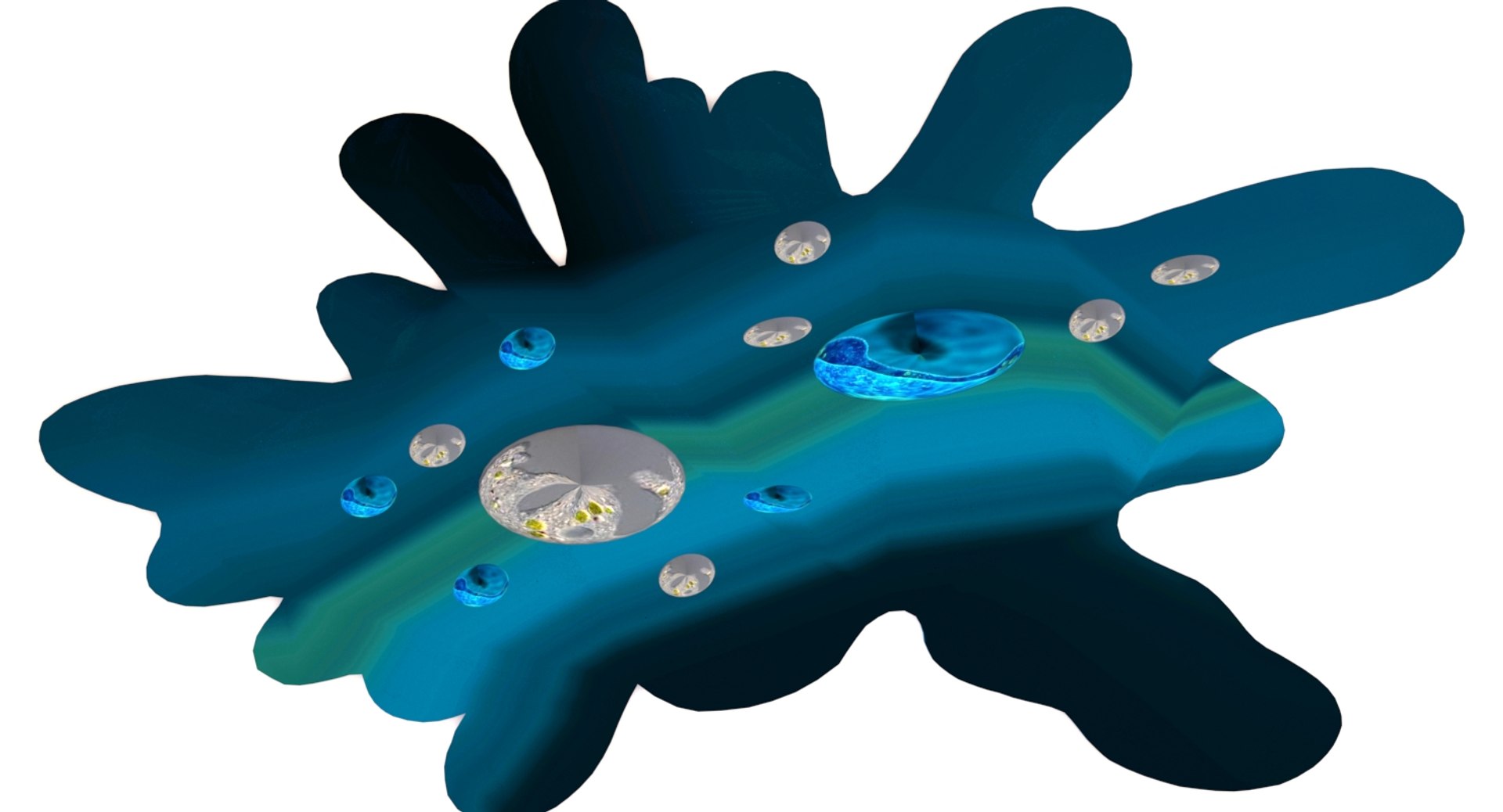 3D Amiba Bacteria - TurboSquid 1515123