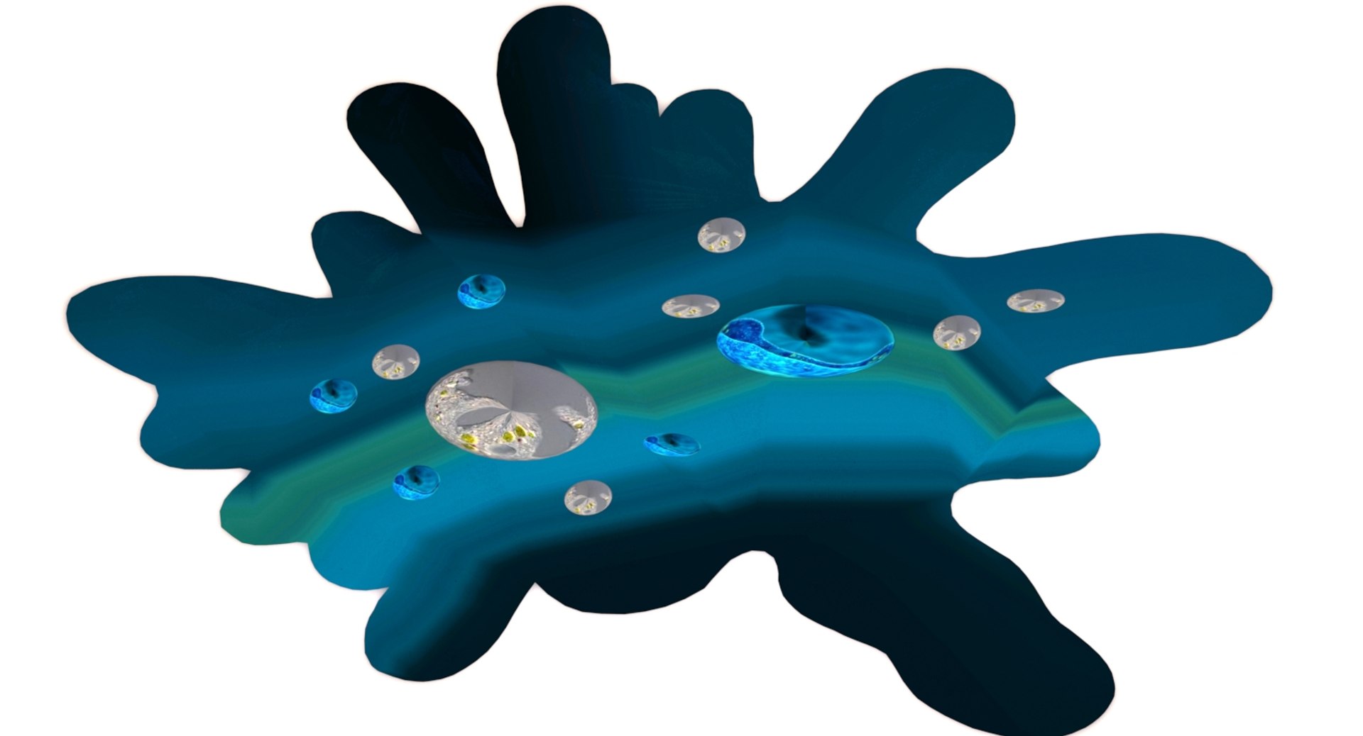 3D Amiba Bacteria - TurboSquid 1515123