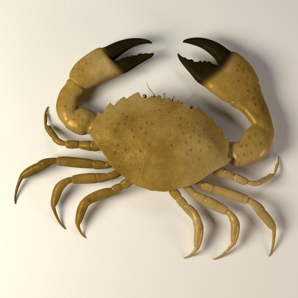 3d crustacean crabs lobster model