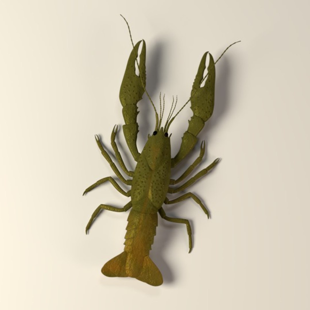 3d Crustacean Crabs Lobster Model