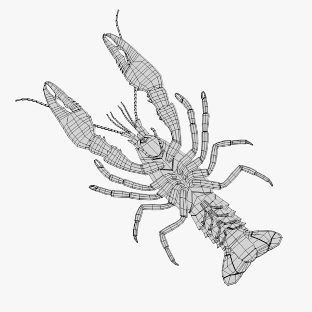 3d Crustacean Crabs Lobster Model
