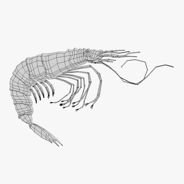 3d crustacean crabs lobster model