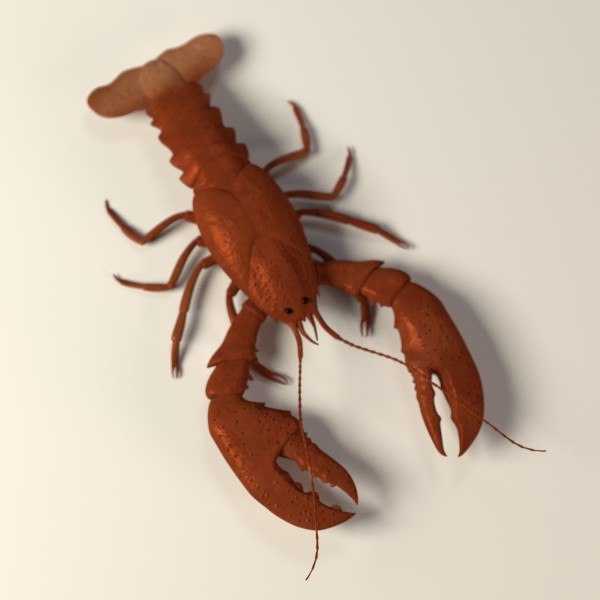 3d crustacean crabs lobster model