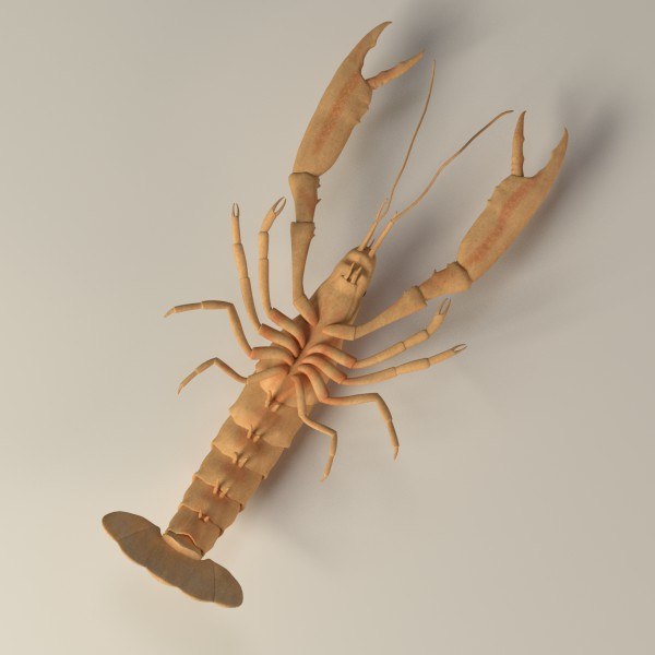 3d crustacean crabs lobster model