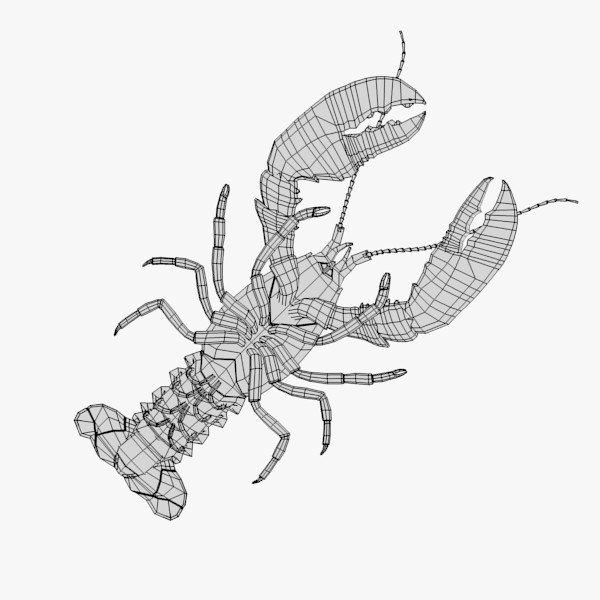 3d crustacean crabs lobster model