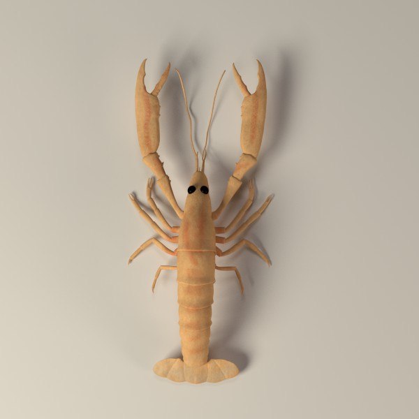 3d crustacean crabs lobster model