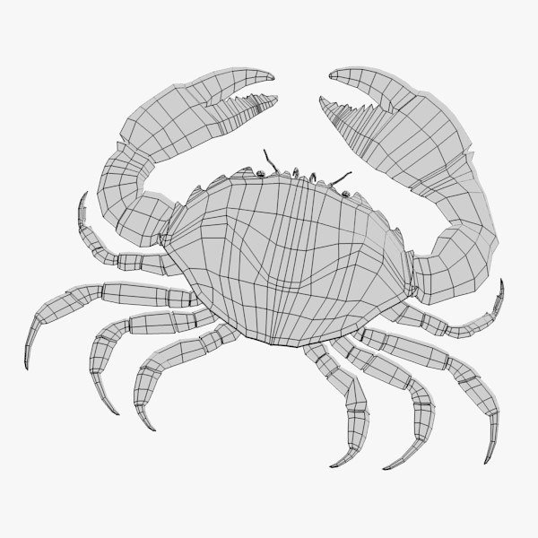 3d crustacean crabs lobster model