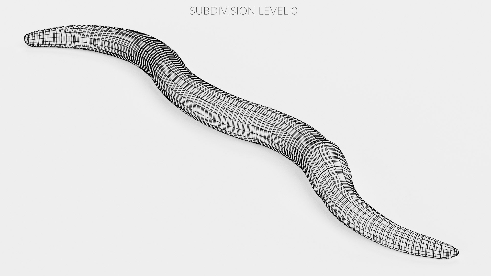 Earthworm Earth Worm 3D Model - TurboSquid 1659196