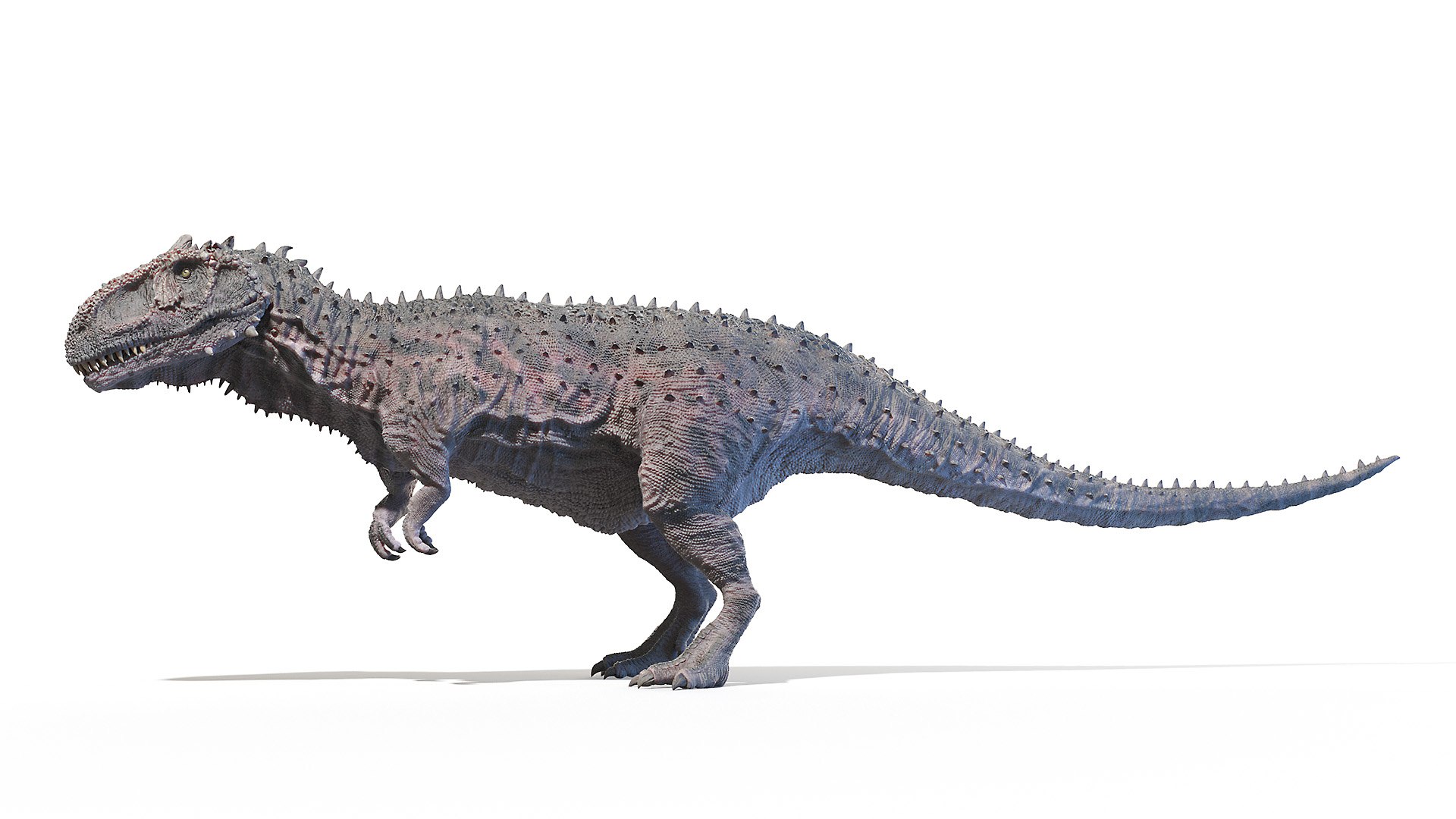 Rajasaurus 3D - TurboSquid 1668208