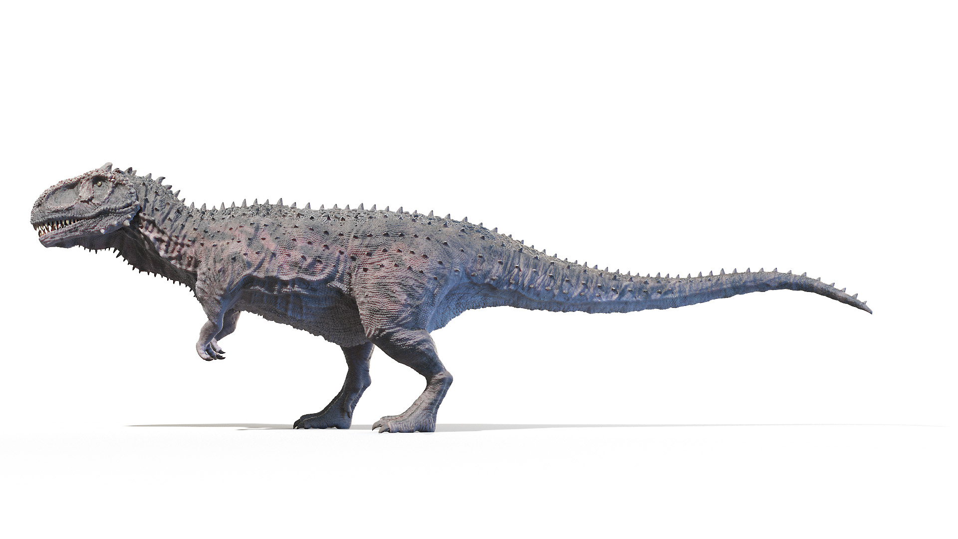 Rajasaurus 3D - TurboSquid 1668208