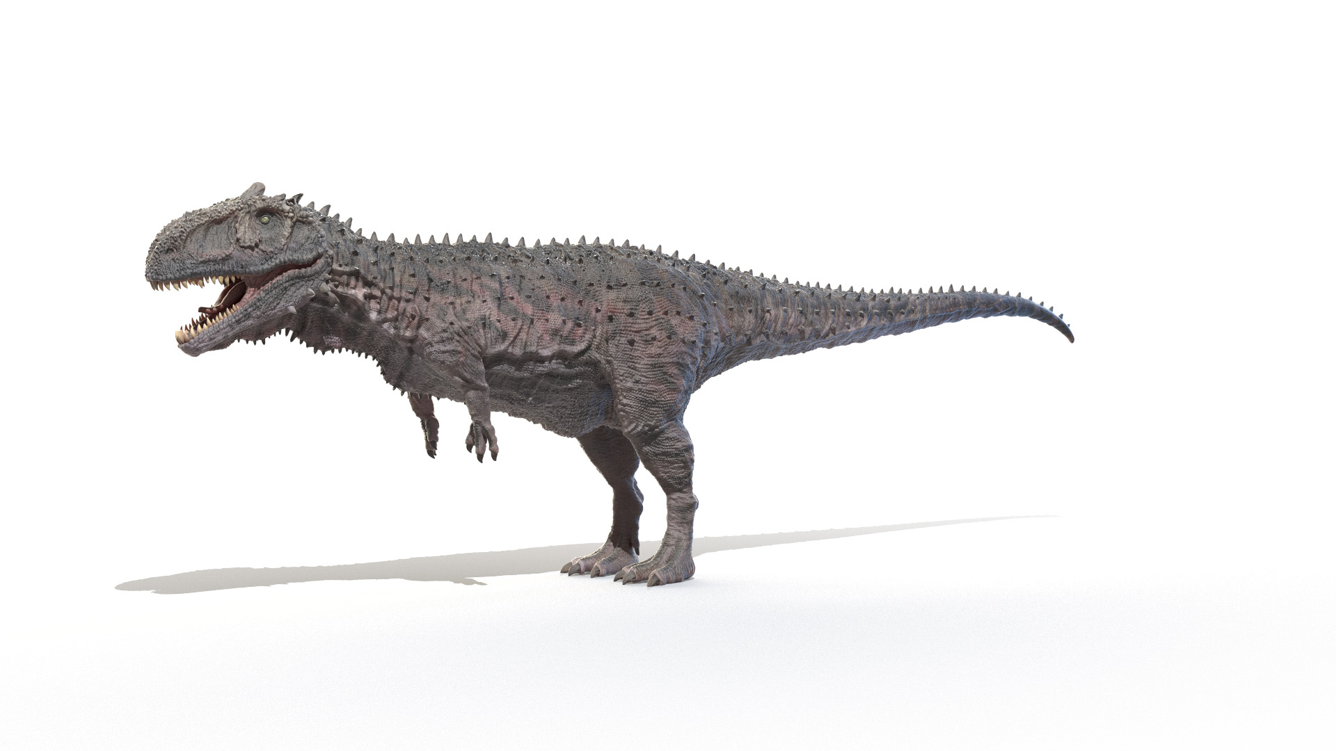 Rajasaurus 3D - TurboSquid 1668208