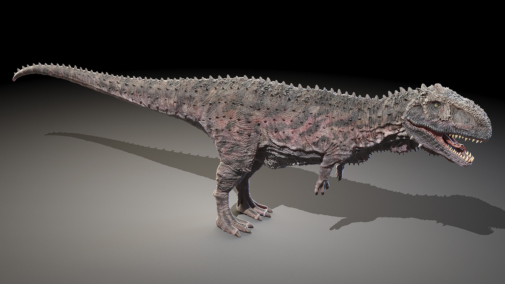 Rajasaurus 3D - TurboSquid 1668208