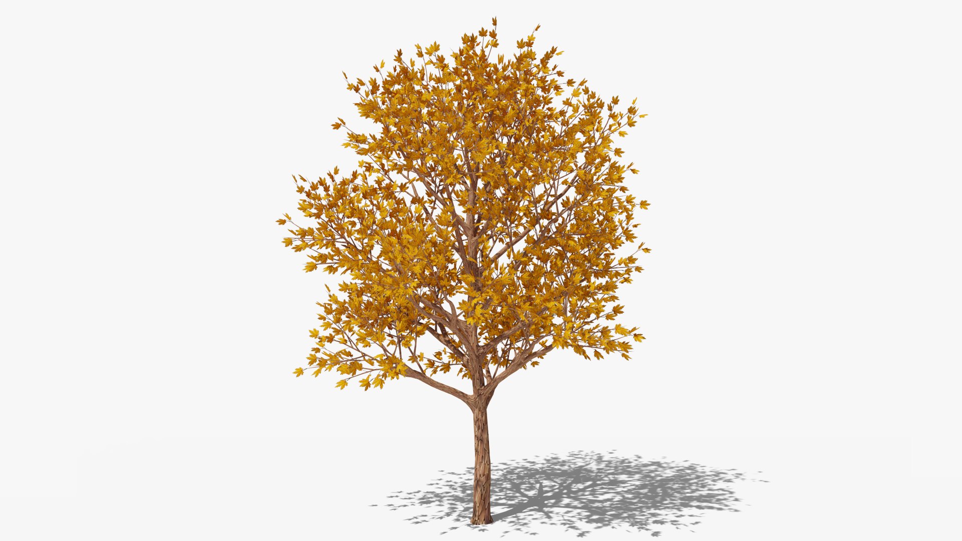 3D Model Stylized Cartoon Maple Tree With Orange Leaves - TurboSquid ...