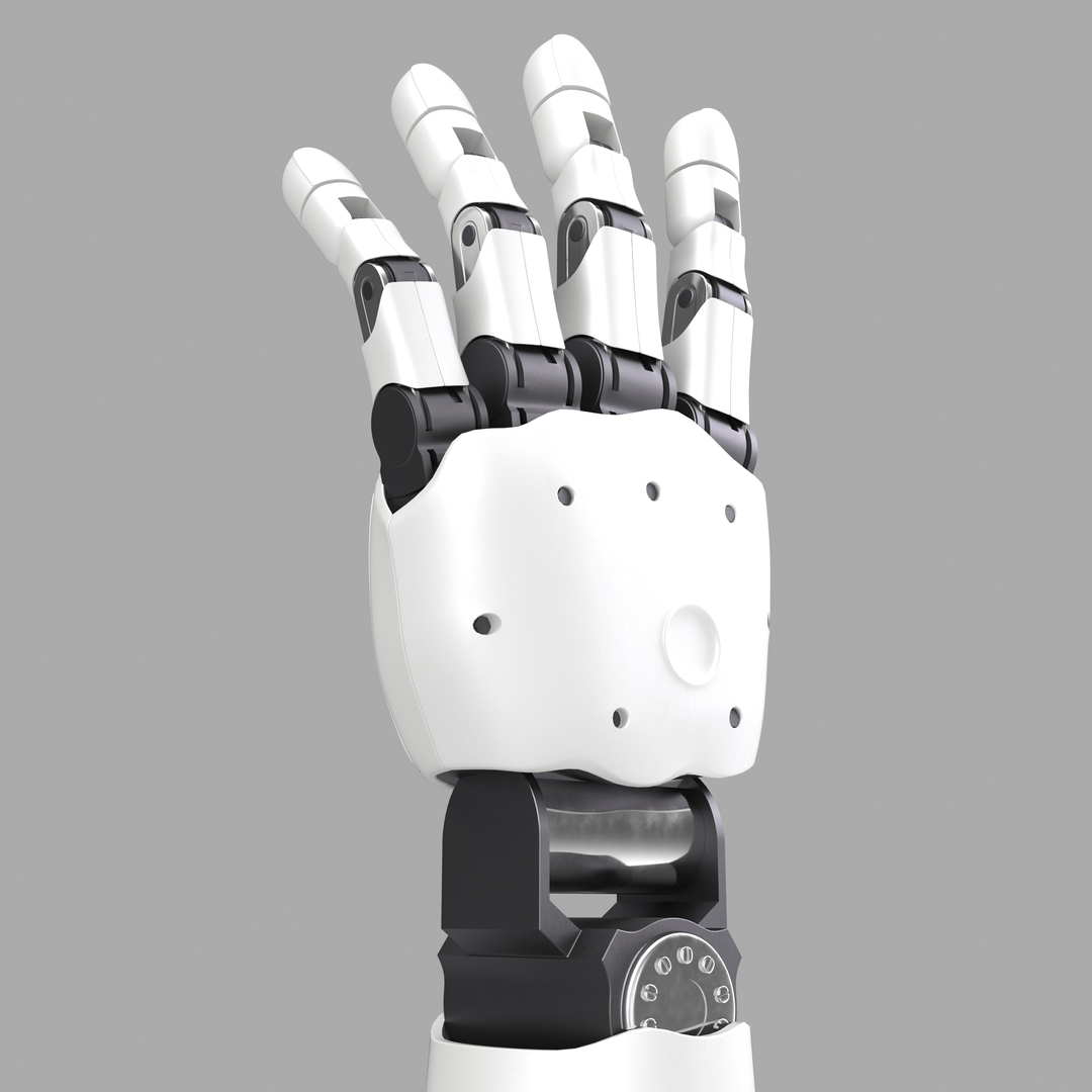 3d modular prosthetic limb model