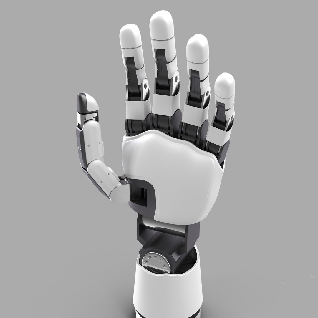 3d Modular Prosthetic Limb Model