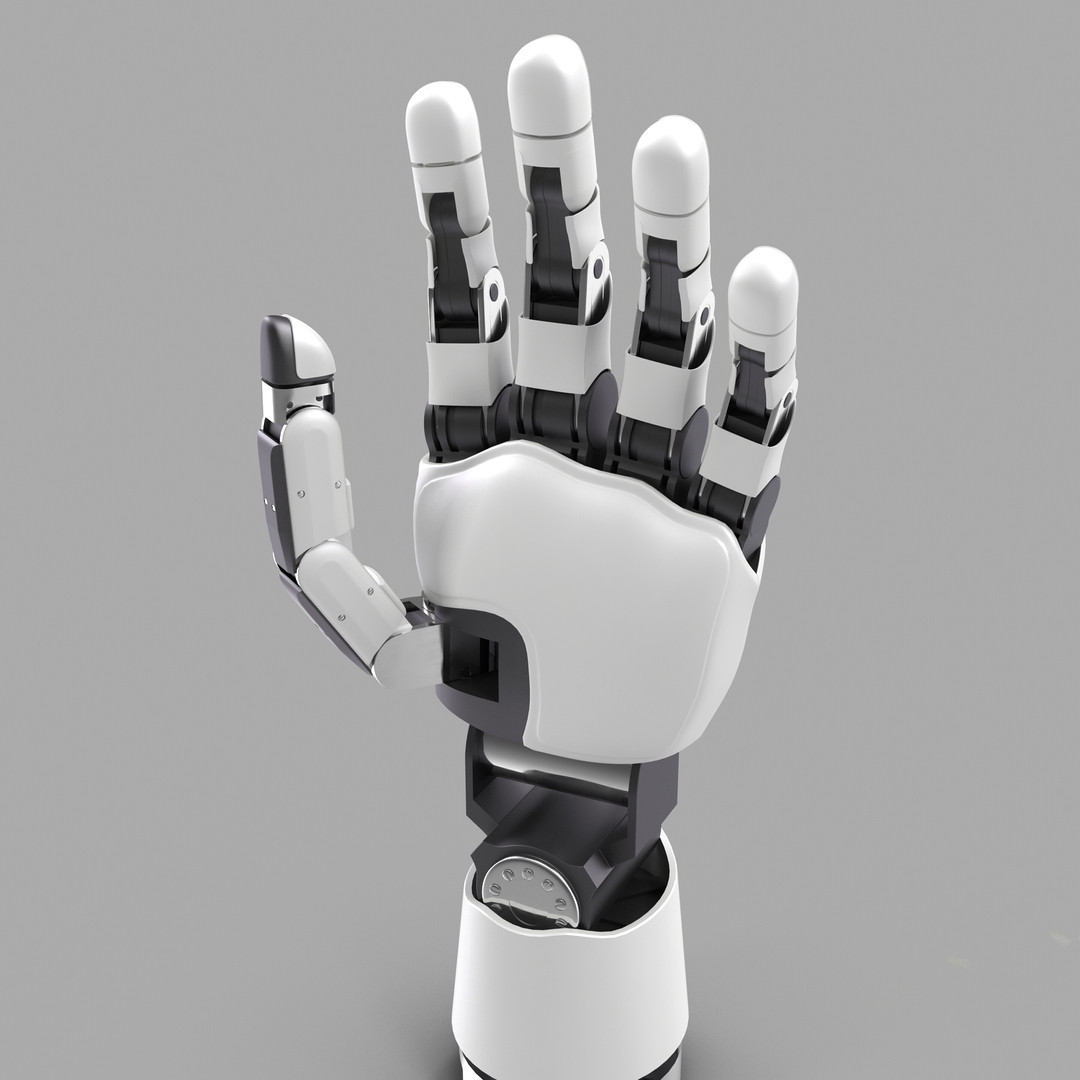 3d modular prosthetic limb model
