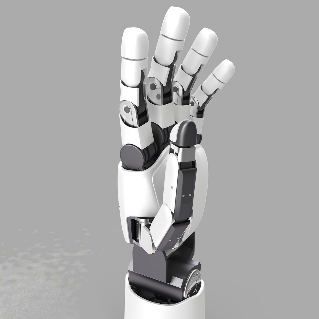 3d Modular Prosthetic Limb Model
