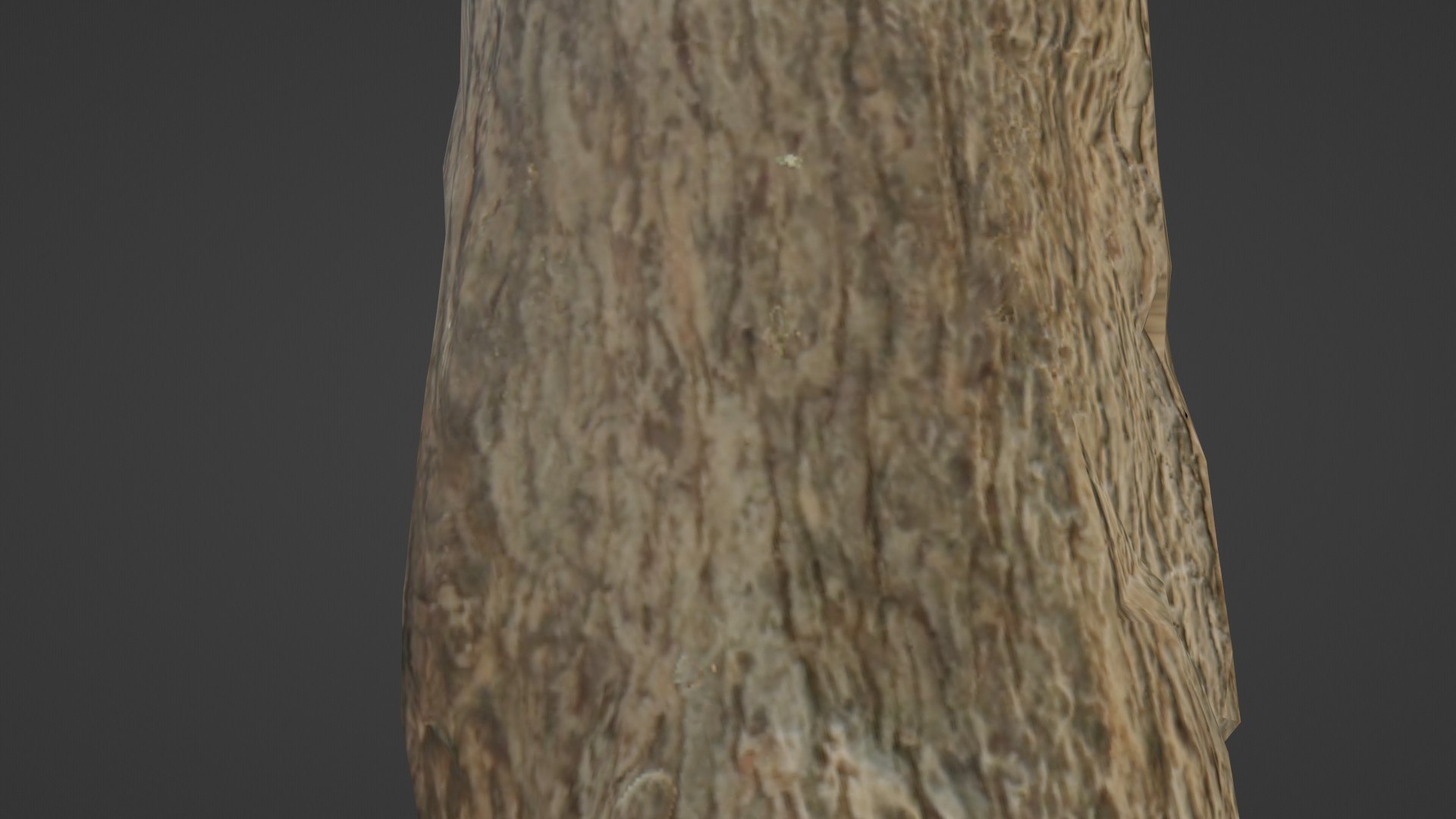 Tree Trunk With Roots 3D Model - TurboSquid 2332107