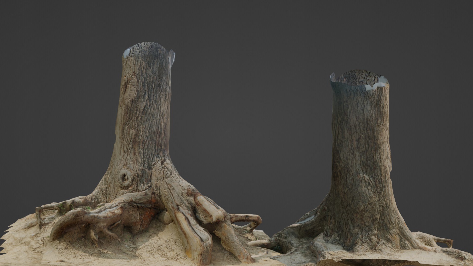 Tree Trunk With Roots 3D Model - TurboSquid 2332107