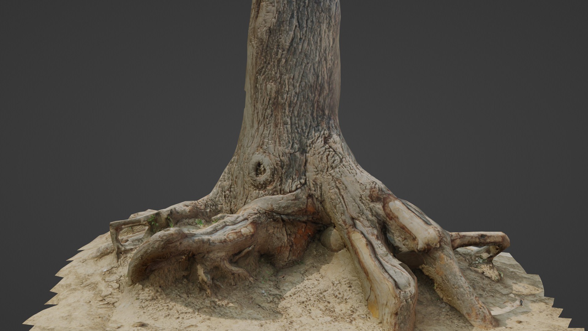 Tree Trunk With Roots 3D Model - TurboSquid 2332107