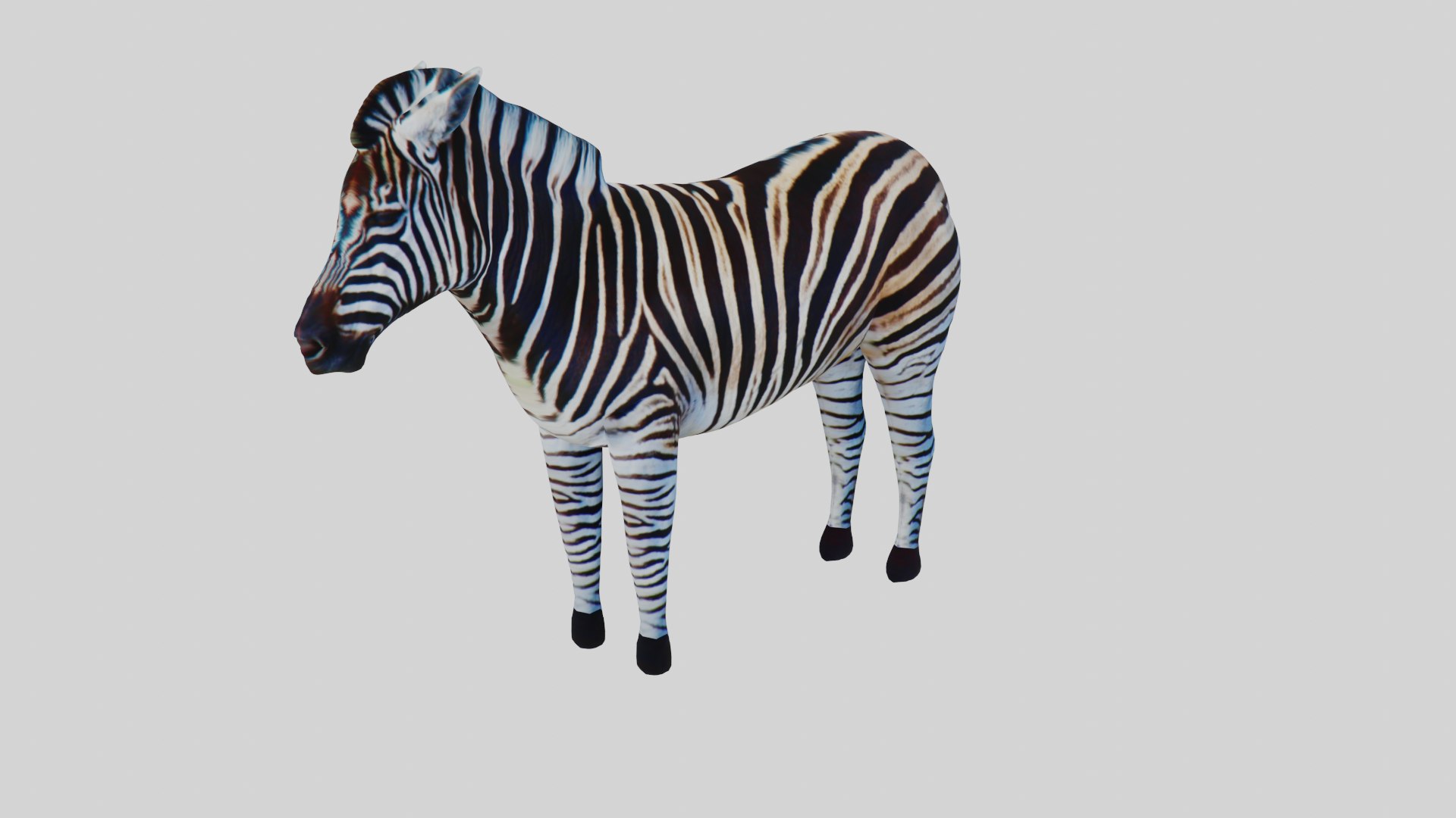 3D Low Poly Zebra Rigged With Realistic Texture - TurboSquid 1876178