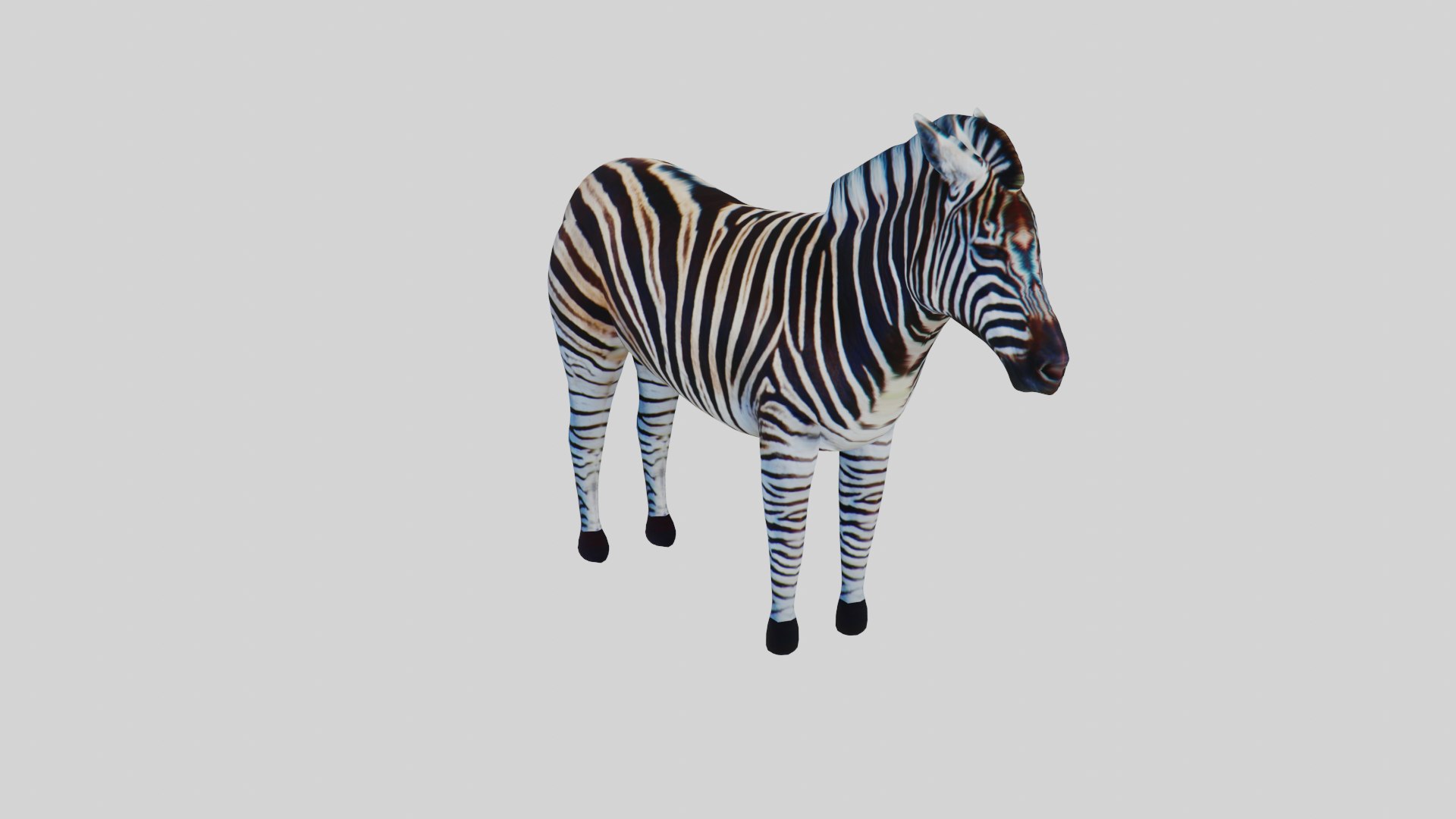 3D Low Poly Zebra Rigged With Realistic Texture - TurboSquid 1876178