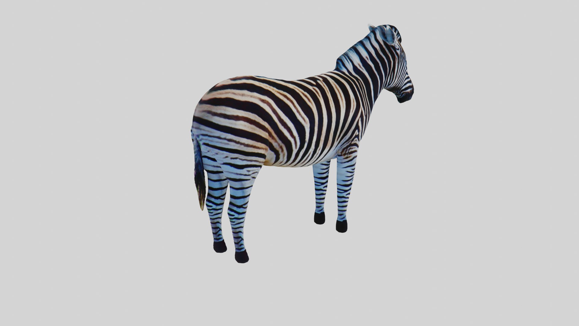 3D Low Poly Zebra Rigged With Realistic Texture - TurboSquid 1876178