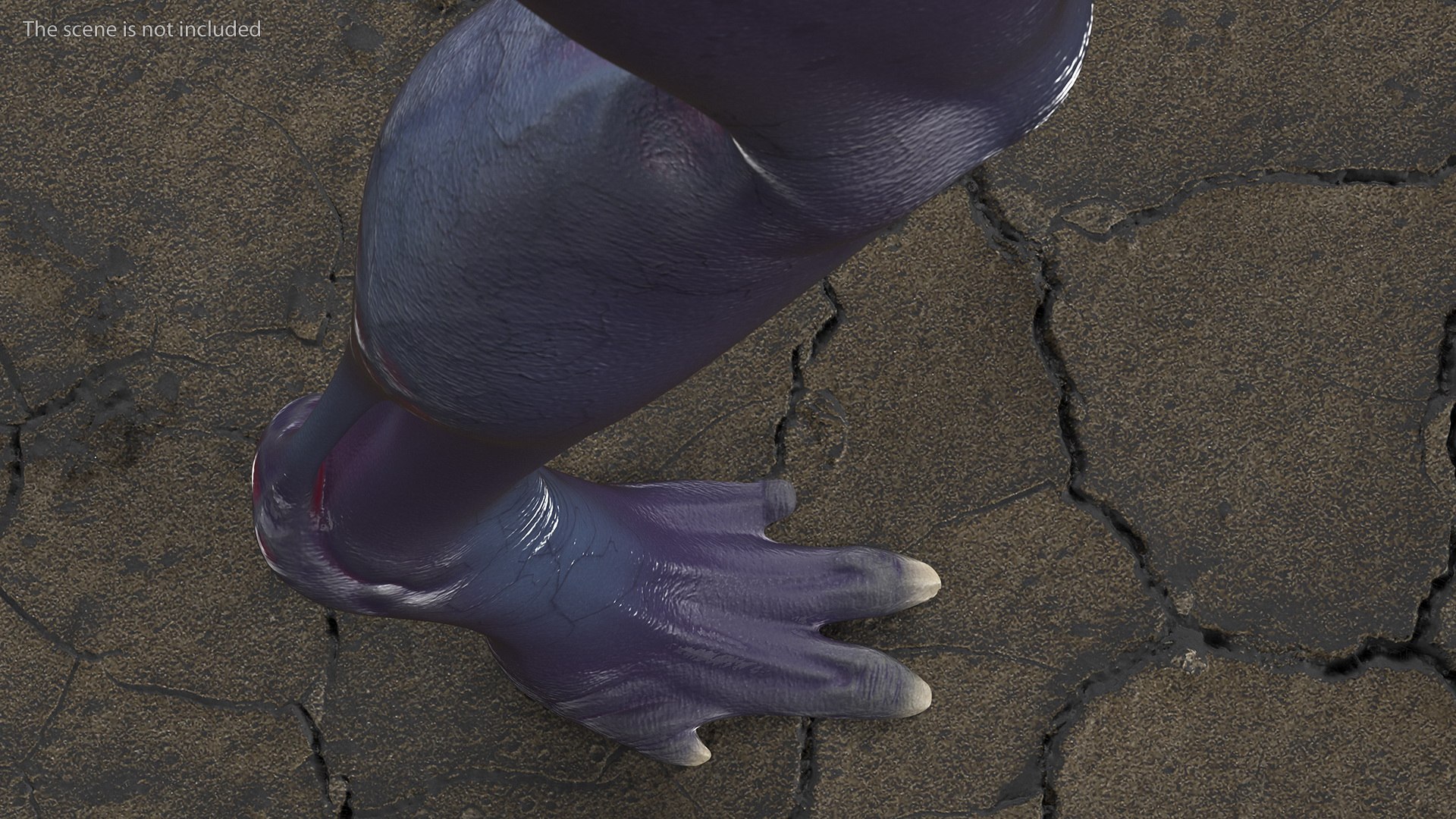 3D Scary Creature Leg - TurboSquid 1702754