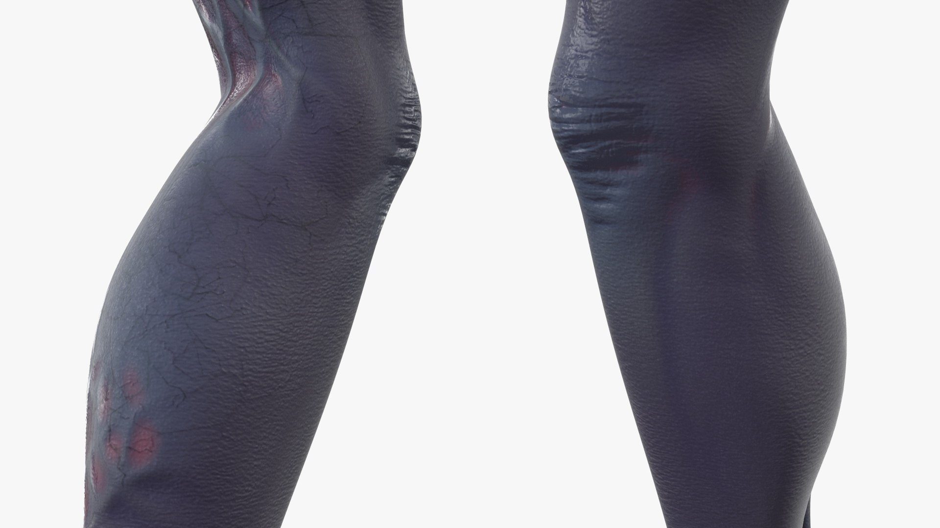 3D Scary Creature Leg - TurboSquid 1702754