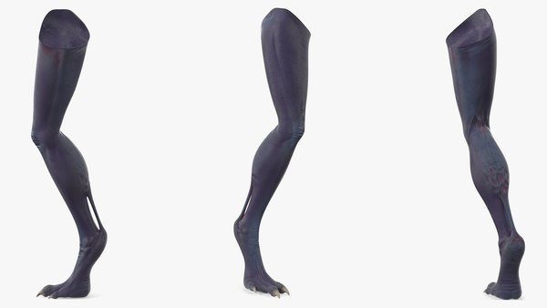 3D scary creature leg - TurboSquid 1702754
