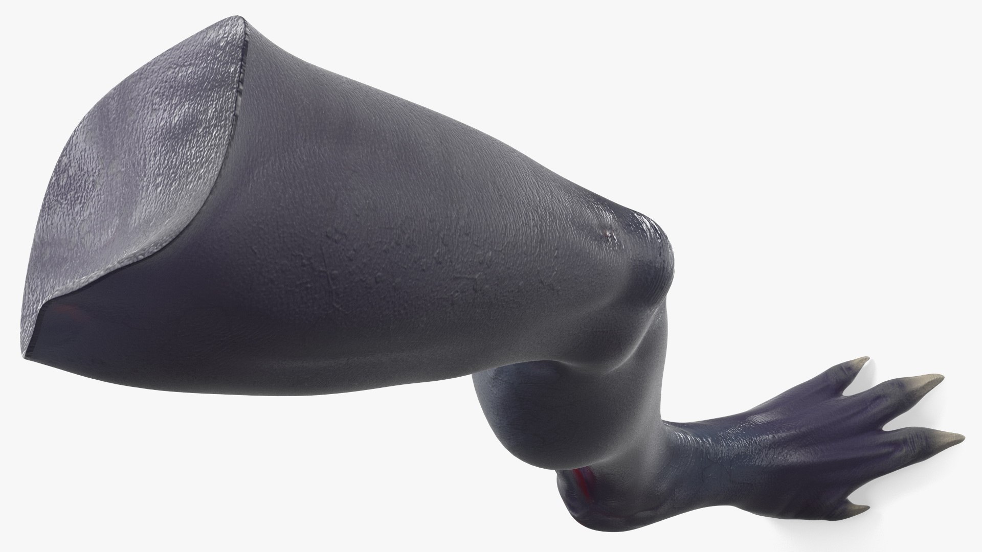 3D Scary Creature Leg - TurboSquid 1702754