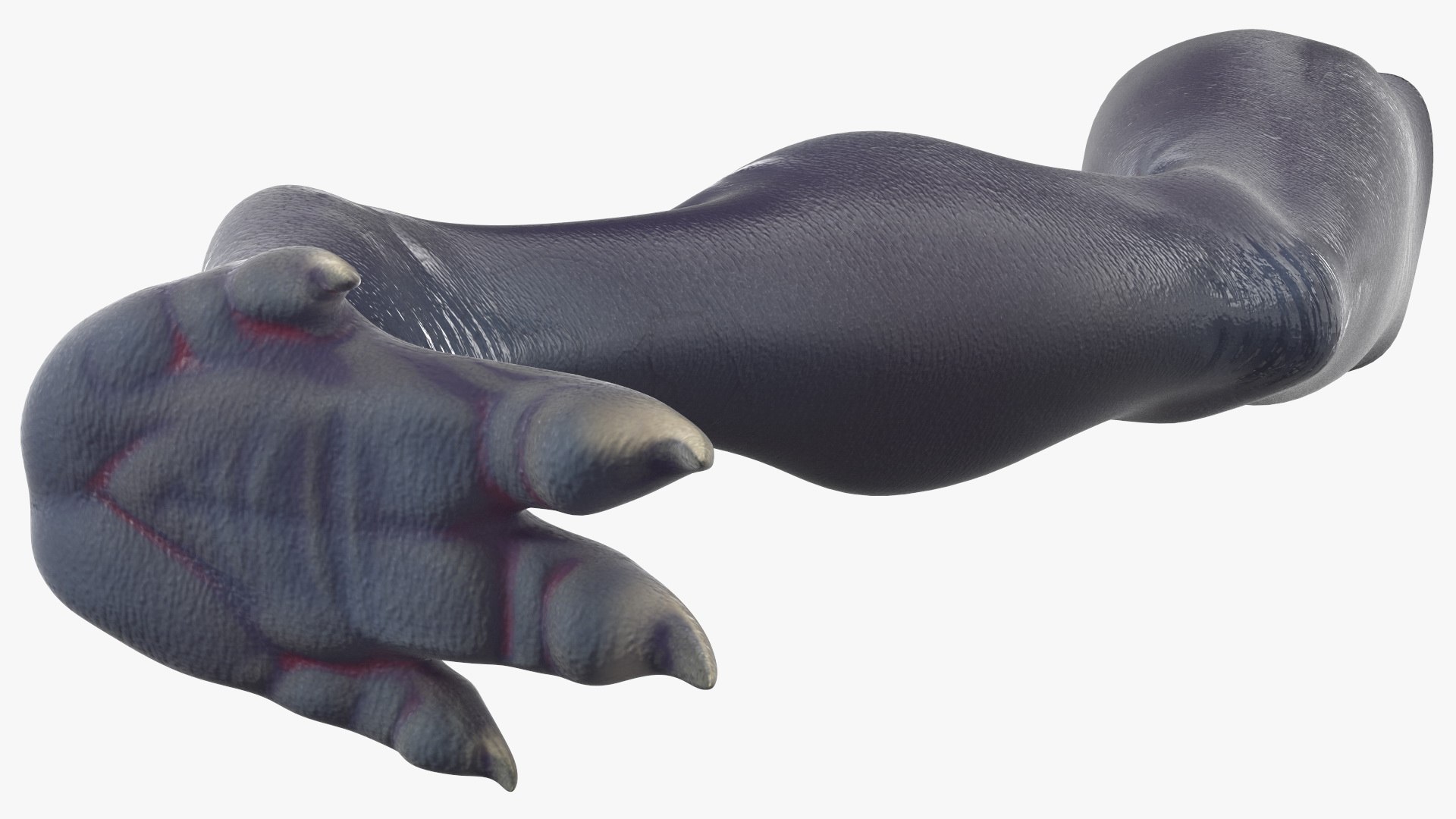 3D Scary Creature Leg - TurboSquid 1702754