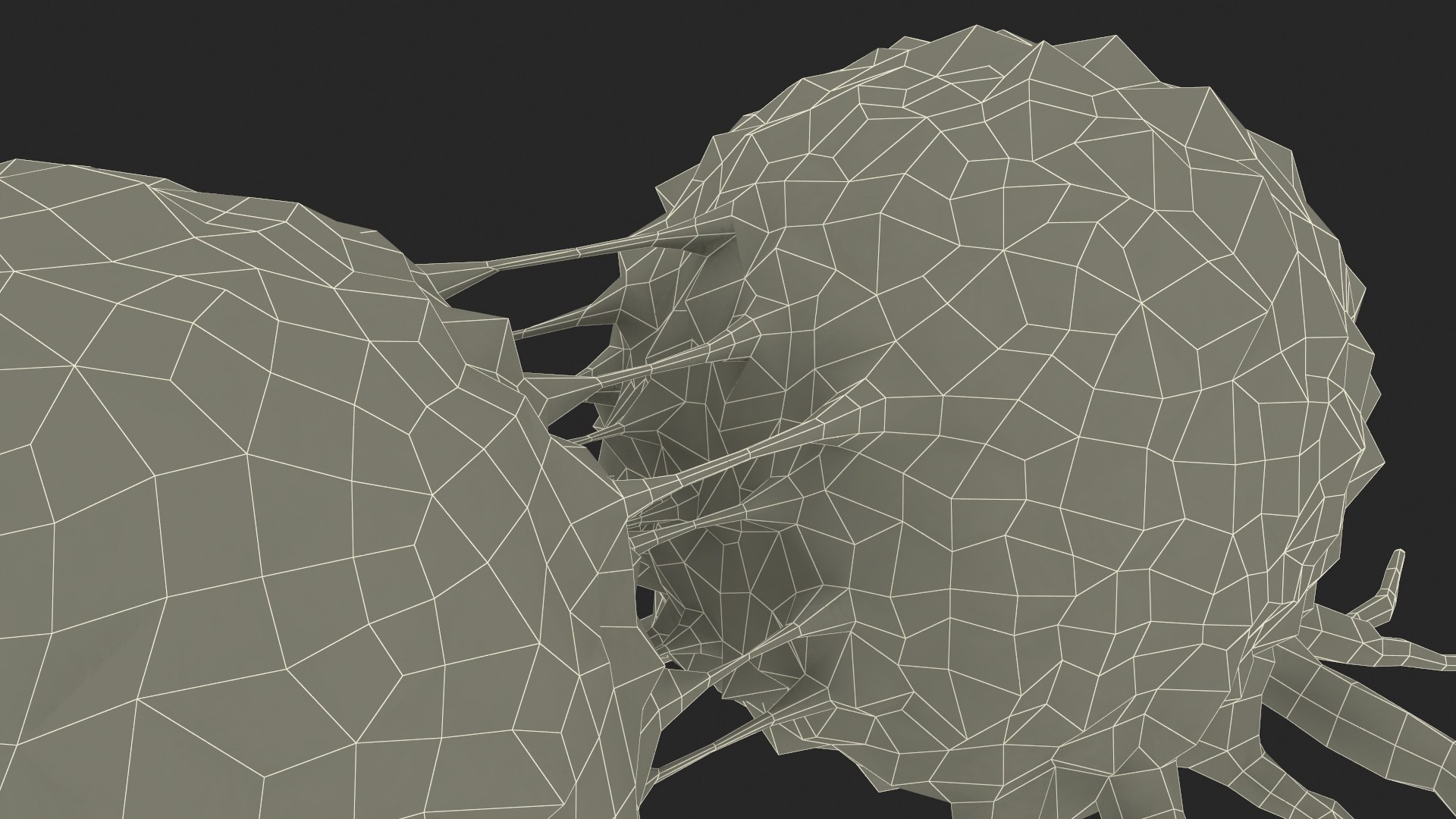 3D Cancer Cell Dividing Model - TurboSquid 2201899