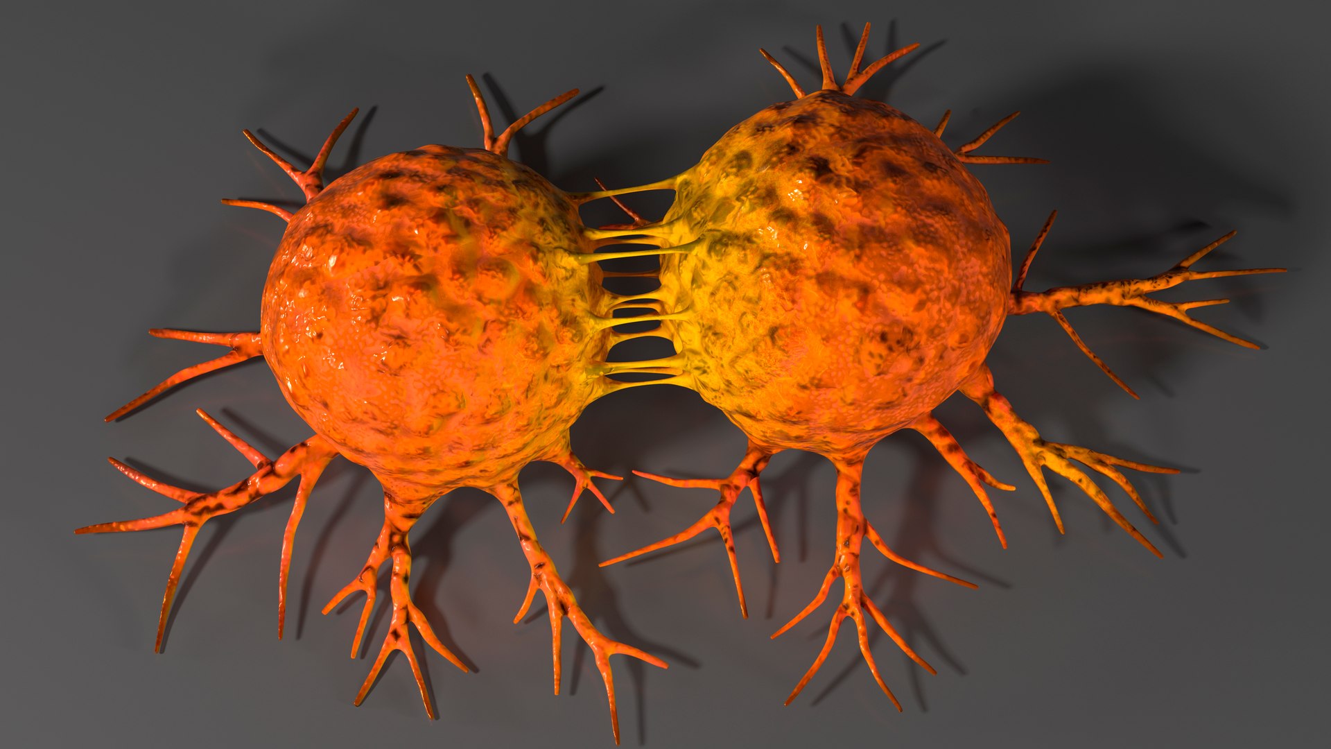 3D Cancer Cell Dividing Model - TurboSquid 2201899